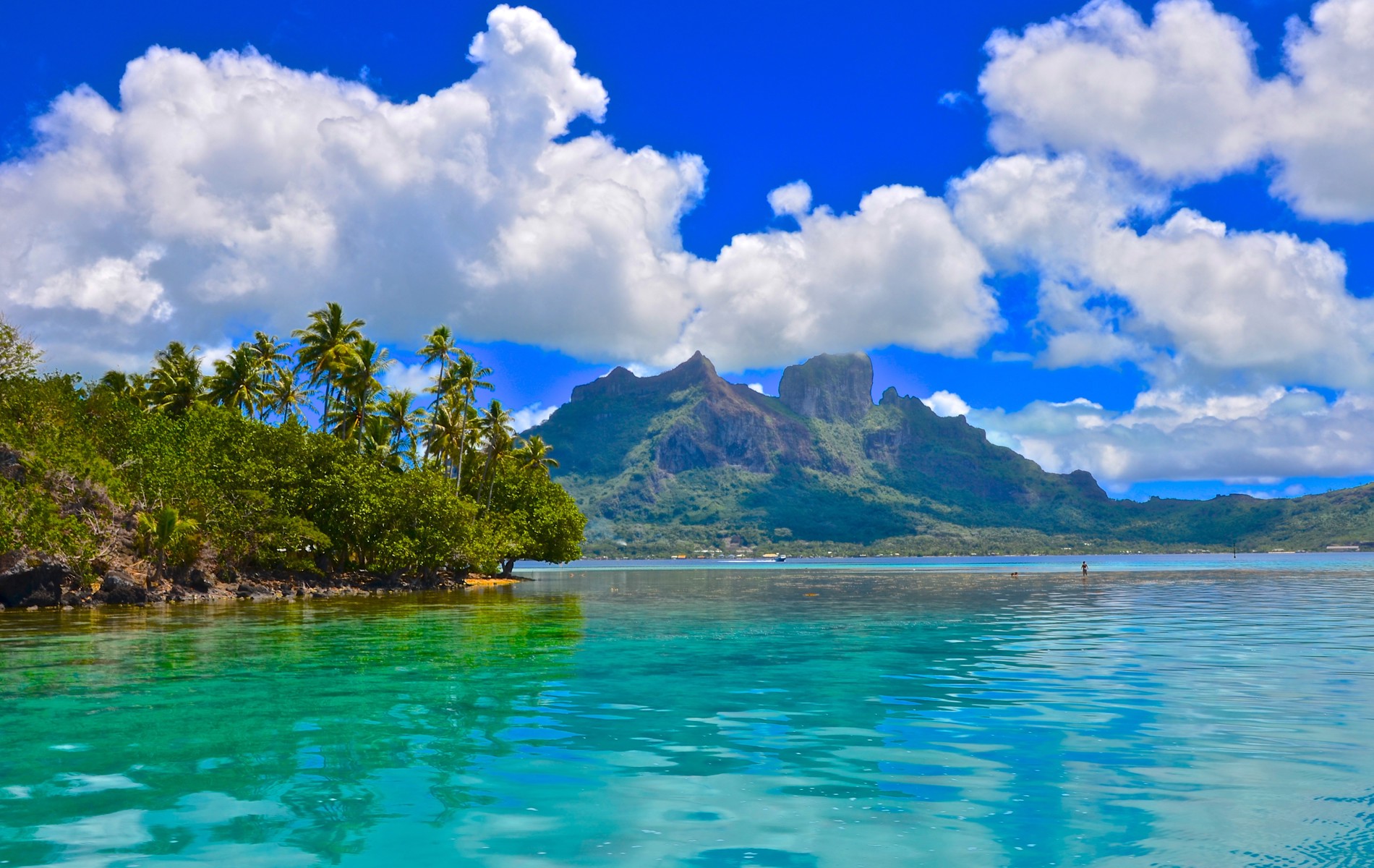 Rejser til Fransk Polynesien | Tahiti, Bora Bora & Moorea